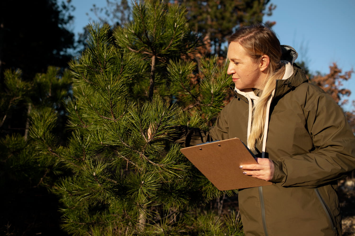 Tree Report for Better Environmental Conservation